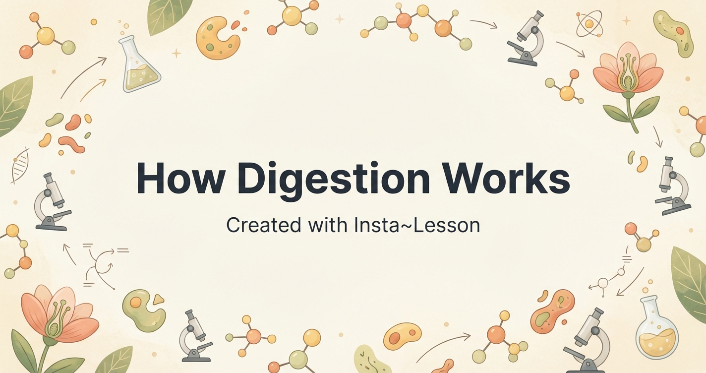 How Digestion Works Lesson Plan for Grade 6th Grade | Free Science Lesson