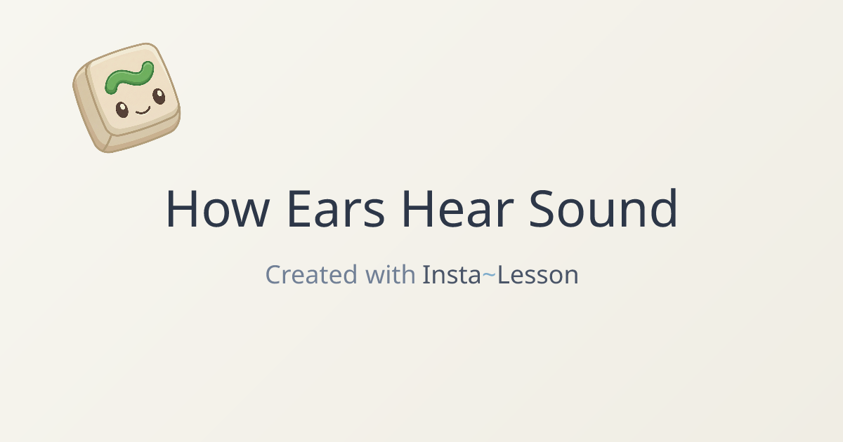 How Ears Hear Sound Lesson Plan for Grade 5th Grade | Free Science Lesson
